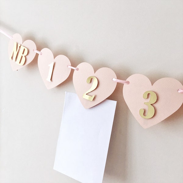 12 Month Banner - Etsy