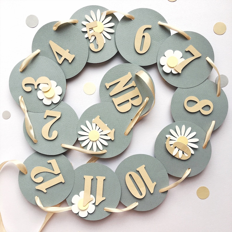 Daisy 12 Month Photo Banner Daisy Flower 1st Birthday - Etsy