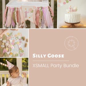 One Silly Goose 1st Birthday Bundle, Vintage Goose Party Decorations - Etsy