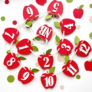 Apple Birthday Decorations, Apple 1st Birthday, Apple of Our Eye Party ...