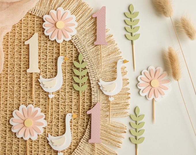 One Silly Goose Cake Topper, Goose 1st Birthday Decorations - Etsy Canada