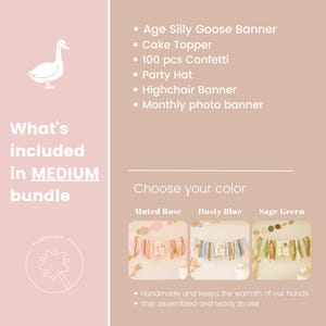 One Silly Goose 1st Birthday Bundle, Vintage Goose Party Decorations - Etsy