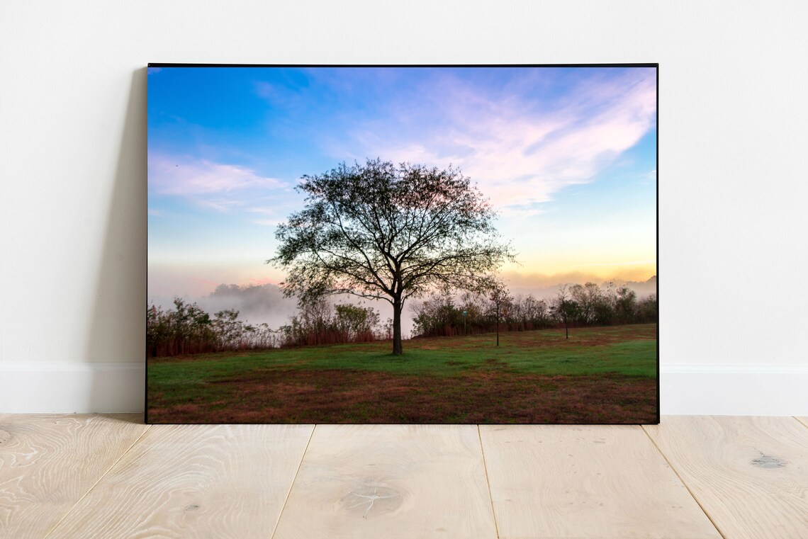 Lonely Tree, Tree Photography, Tree Print, Single Tree, Fine Art, Fine ...