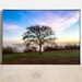 Lonely Tree, Tree Photography, Tree Print, Single Tree, Fine Art, Fine ...