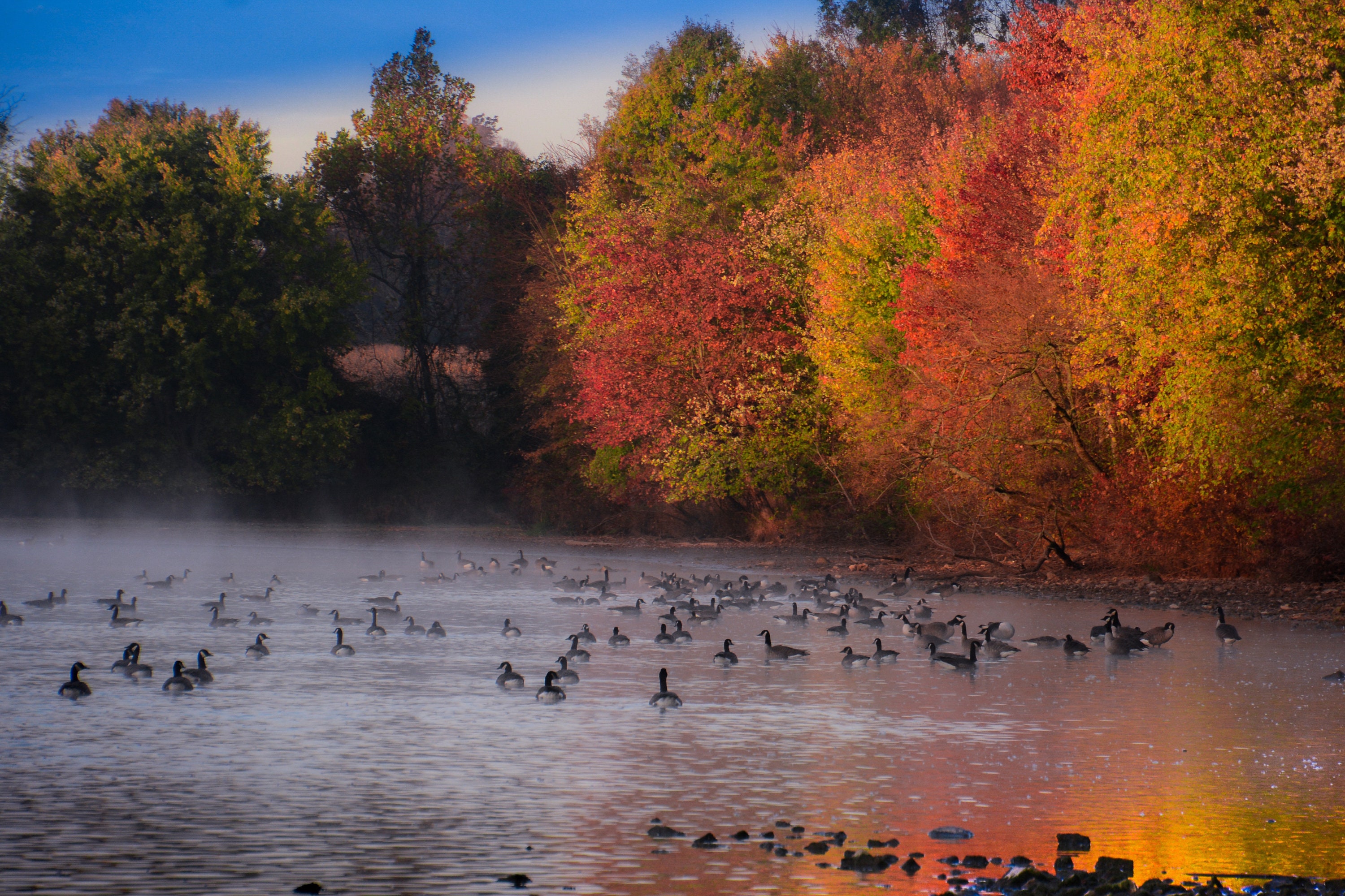 Bucks County Fall Reflection - Autumn Colors - PA - Lake Luxembourg ...