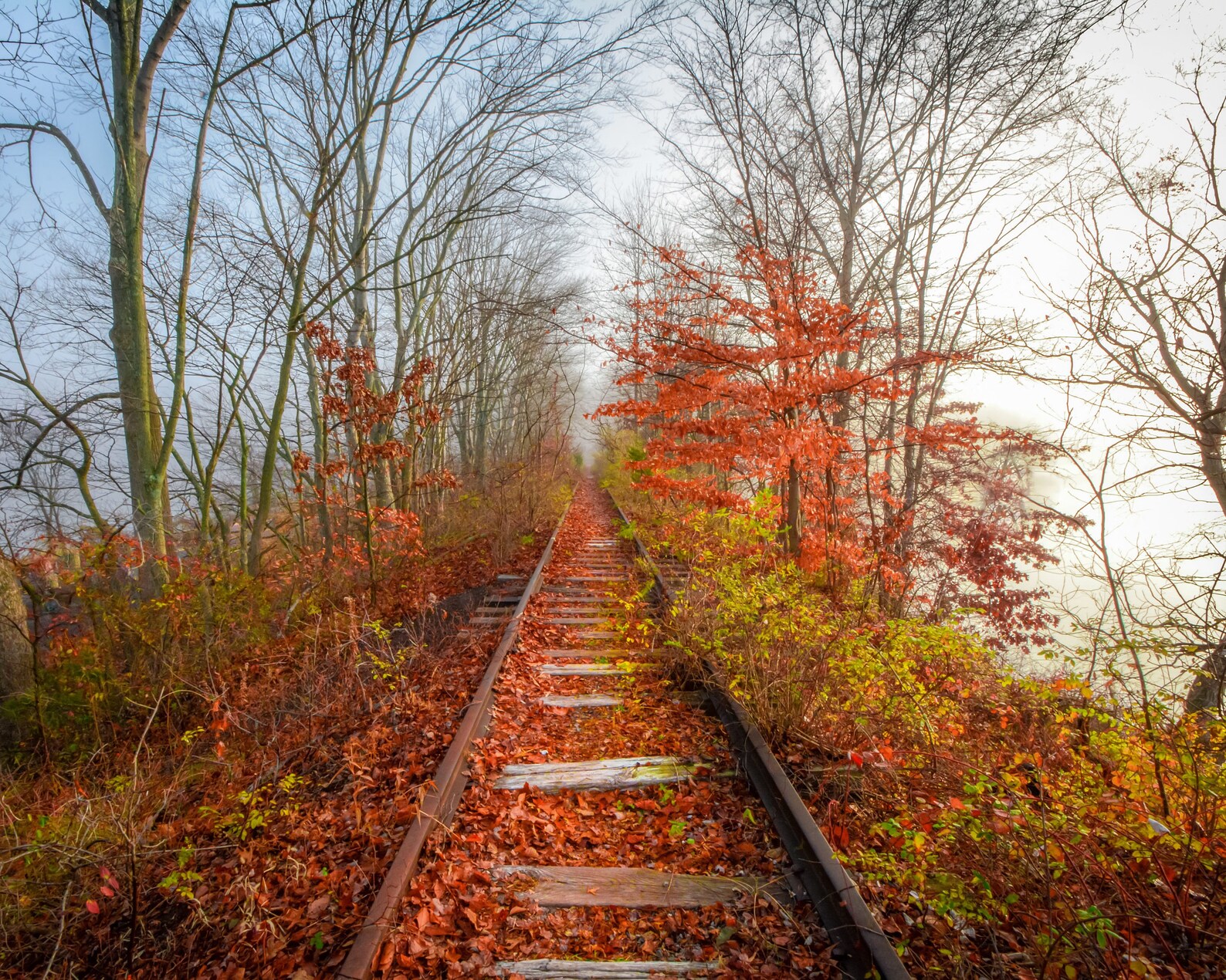 Railway to Nowhere, Railroad to Nowhere, Train Tracks, Fine Art ...