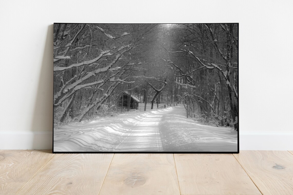 Winter Photography, Winter Print, Black and White, Snow Print, Cabin in ...