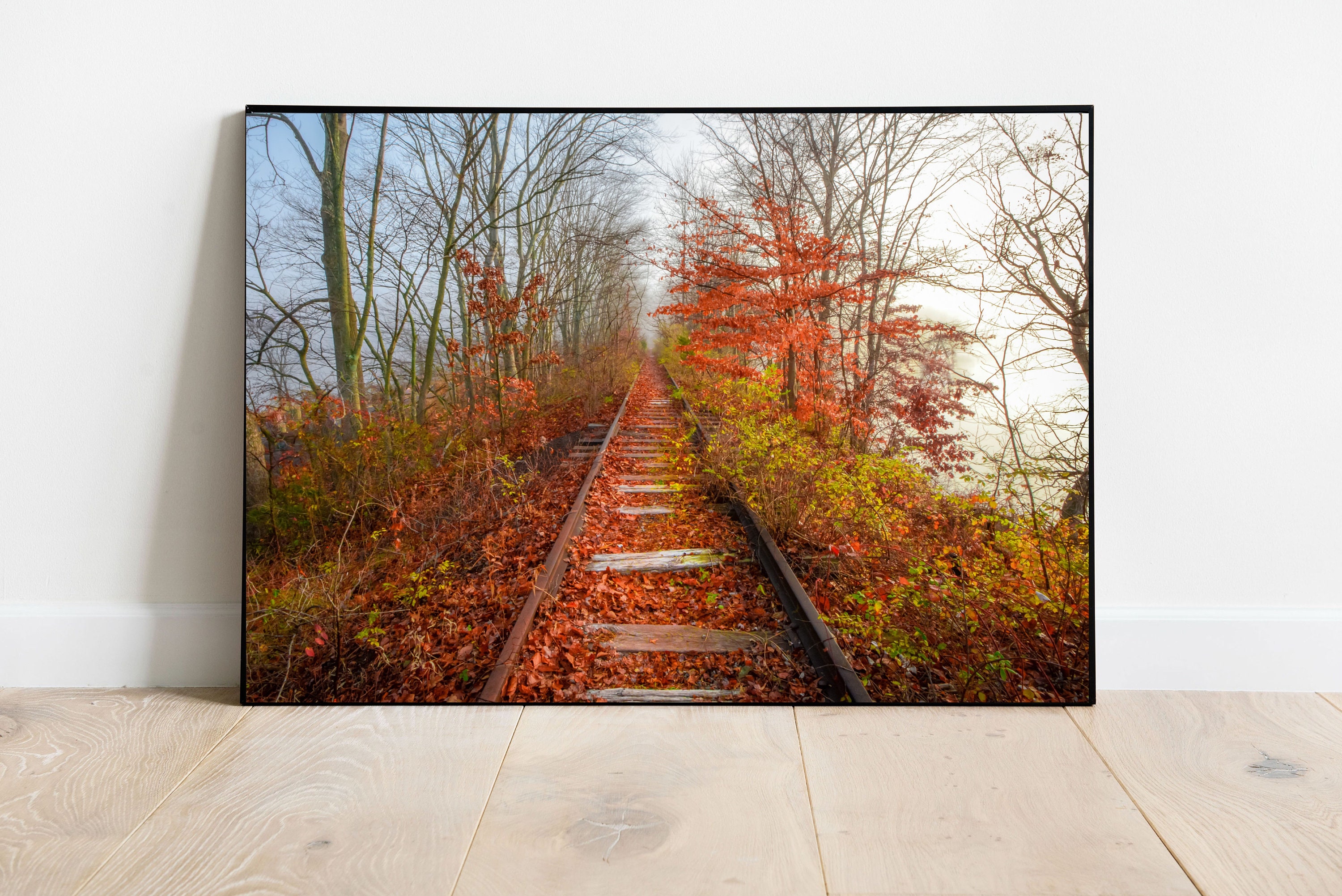 Railway to Nowhere, Railroad to Nowhere, Train Tracks, Fine Art ...