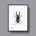 Printable Stag Beetle Nordic Art Design, Insect Taxidermy Printable Art ...