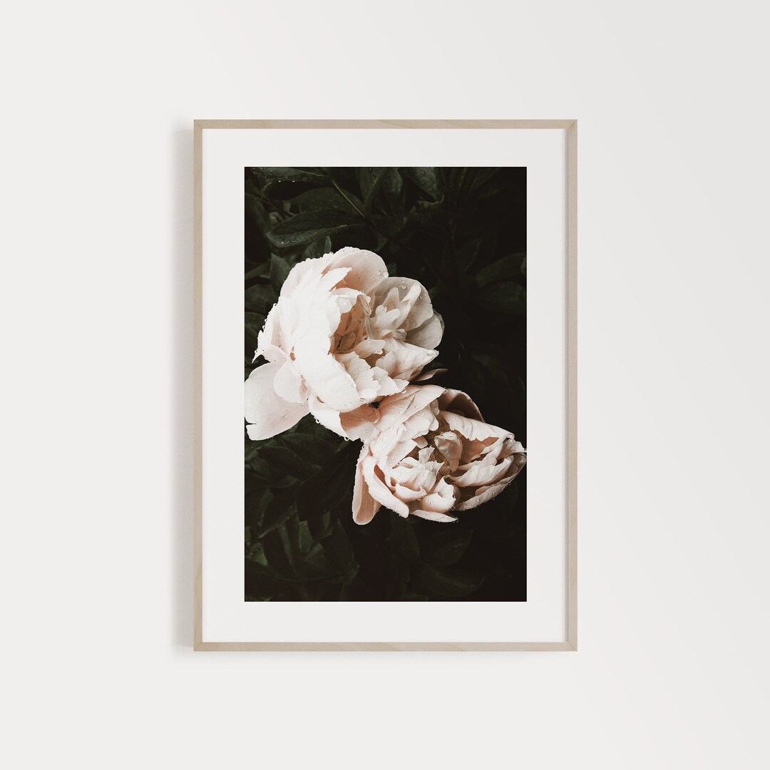 Printable Pink Peony Wall Art, Boho Wall Decoration Peony Art Prints ...