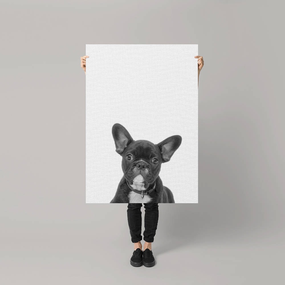 Printable Frenchie Wall Art French Bulldog Nursery Decor | Etsy