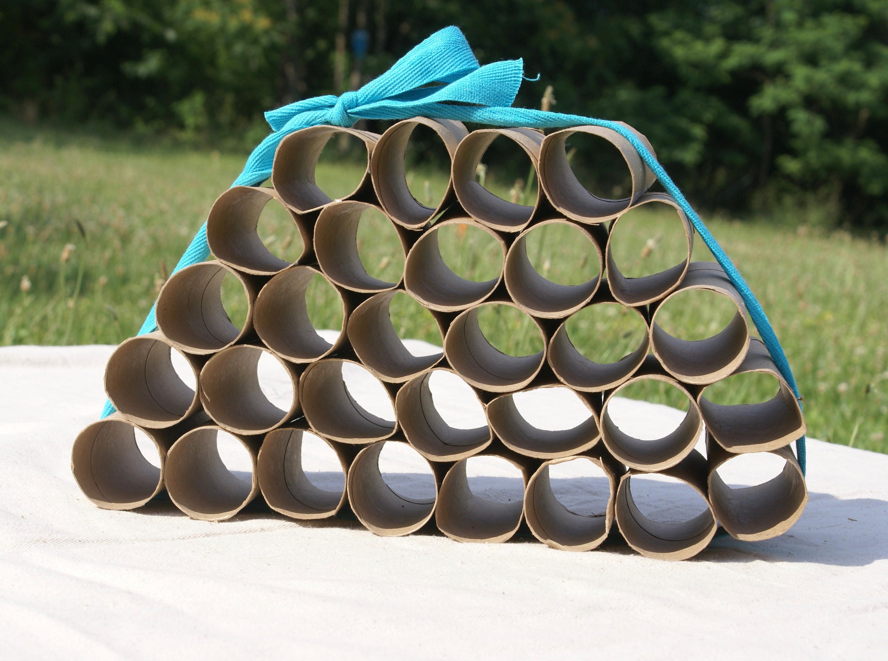 30 Empty Cardboard Toilet Paper Tubes Classroom Craft Etsy 30-empty-cardboard-toilet-paper-tubes-classroom-craft-etsy