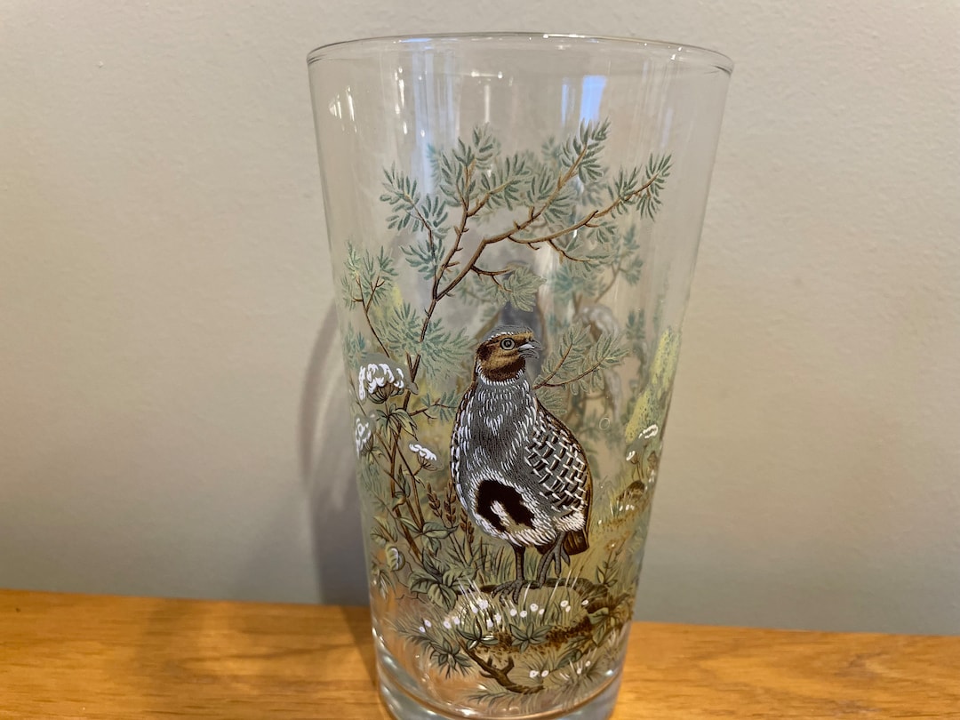 Grey Partridge Designs Printed on 1pt Toughned Conical Glass DISHWASHER ...