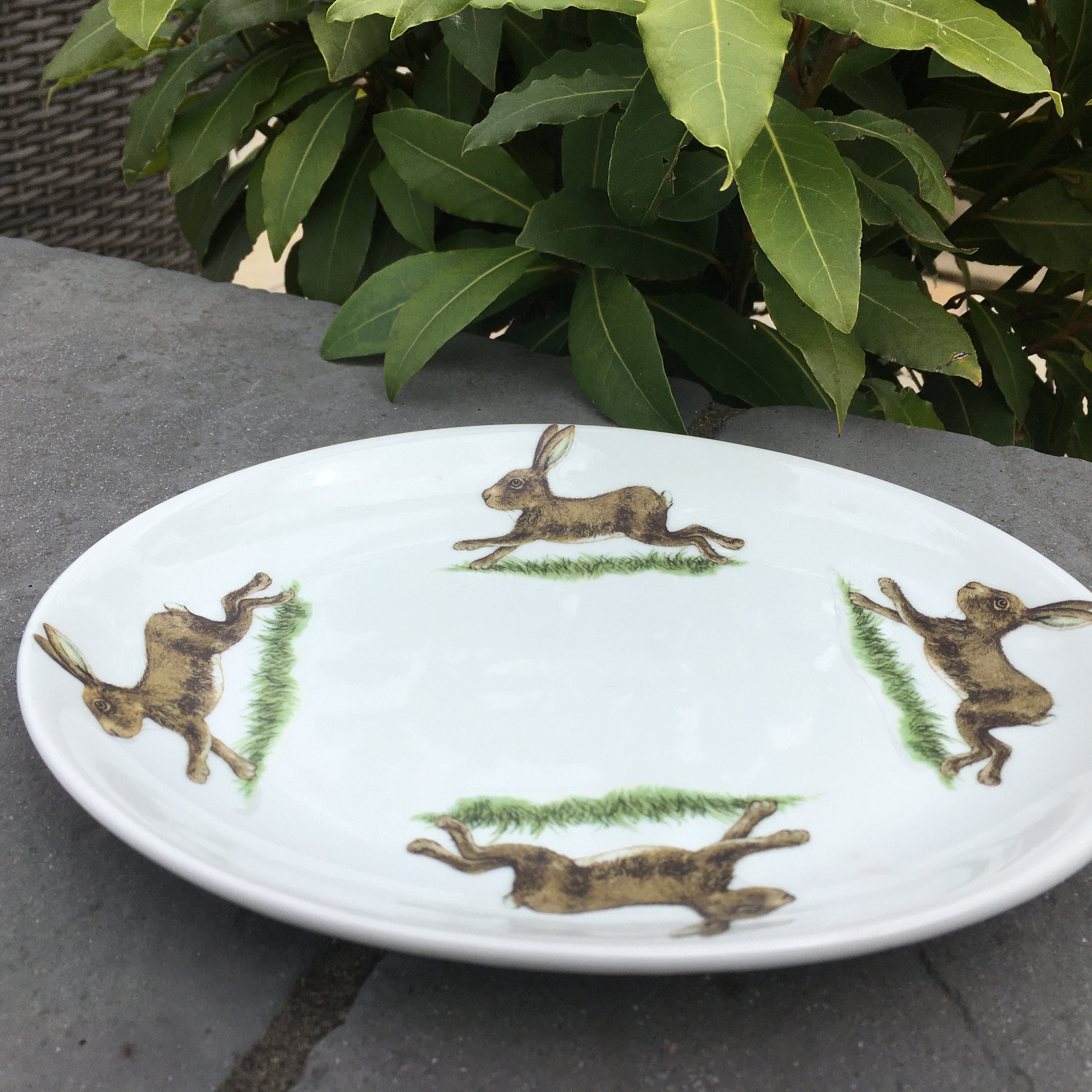 Set of 4 Running Hare Design on 9.5/24cm Oval Snake Plates - Etsy Denmark