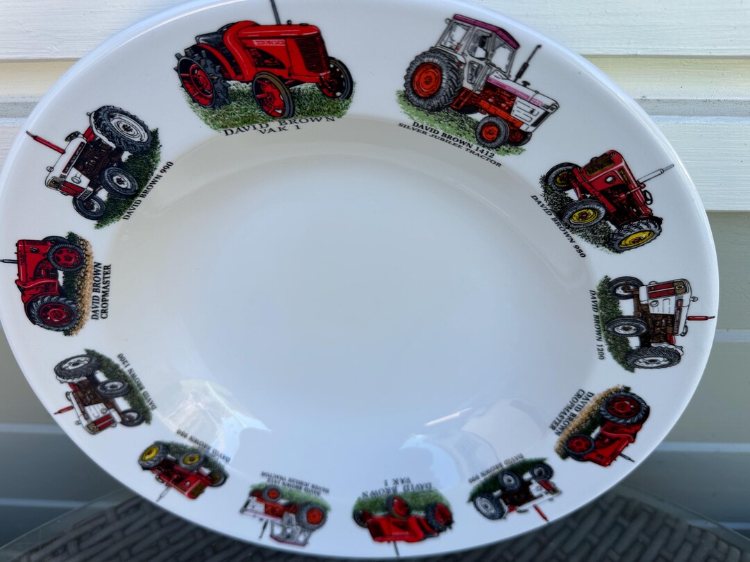 Big and Large 12"/30cm Ceramic Pasta Dish Plate With David Brown ...