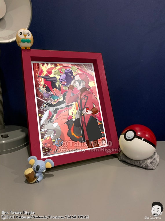 Pokemon Team Magma Maxie