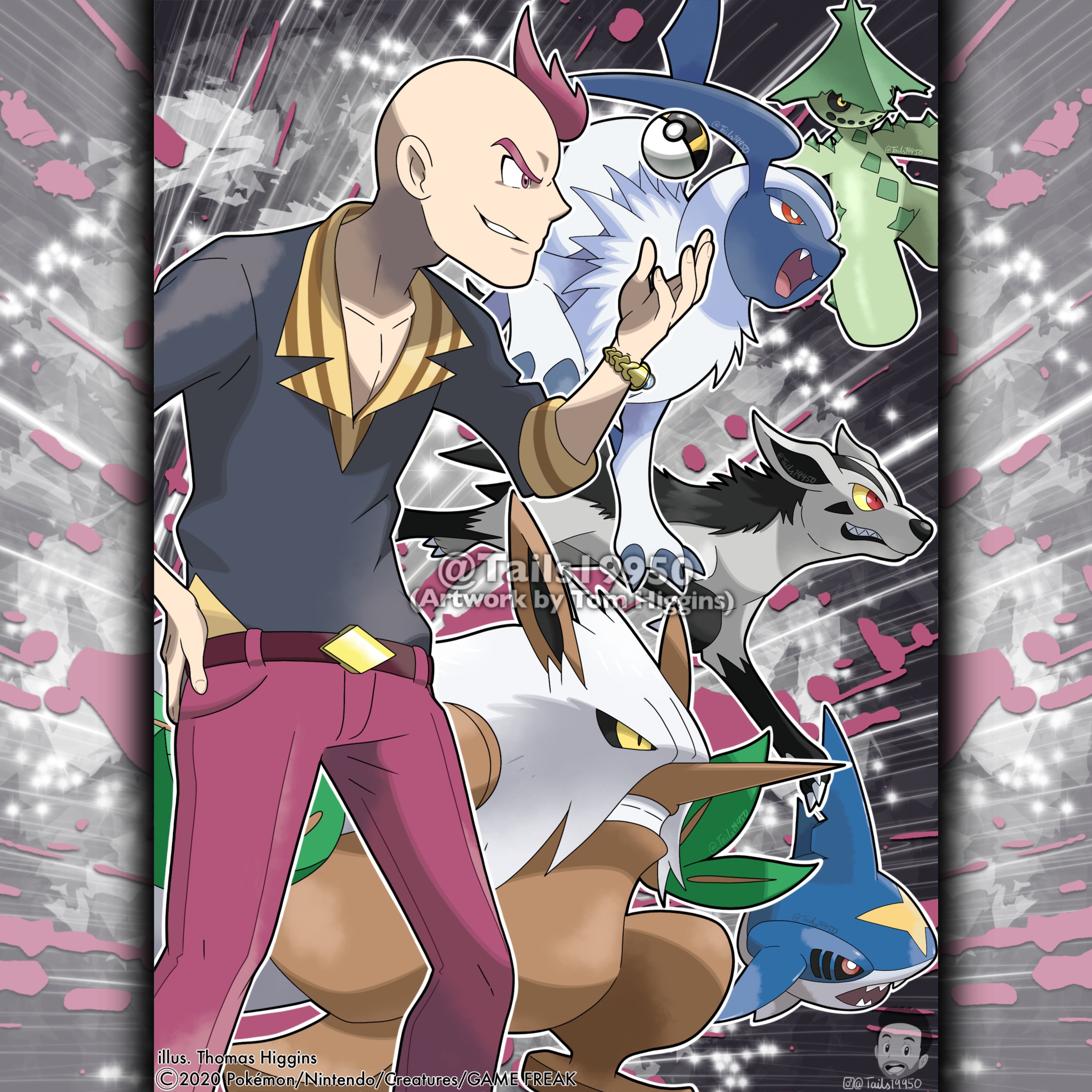 Pokemon Elite Four Hoenn