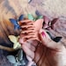 Jumbo Butterfly Claw Clip - Etsy