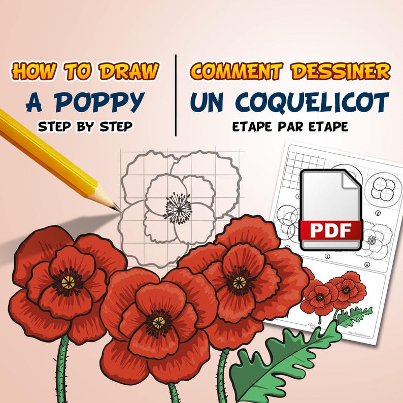How to Draw a Poppy Flower Step by Step (PDF) - Etsy UK