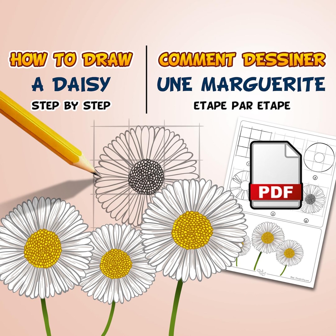How to Draw a Daisy Step by Step (PDF) - Etsy