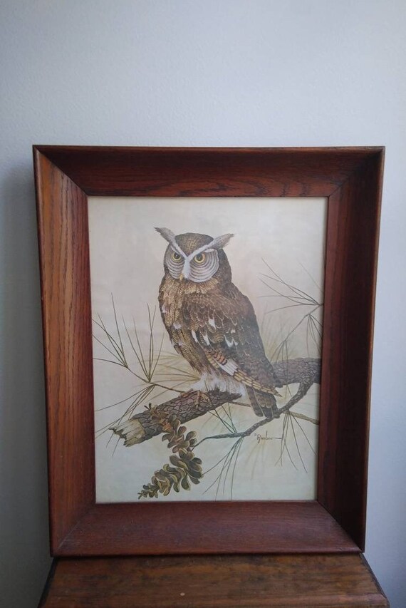 Vintage E. Rambow Owl Art Print - Etsy