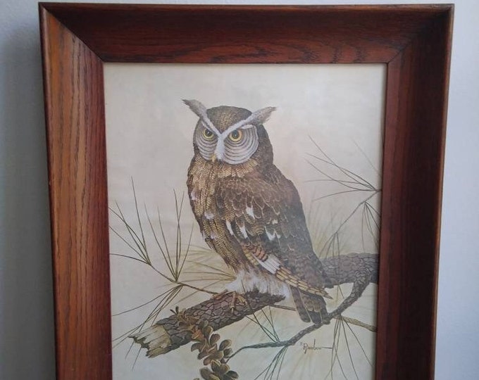 Vintage E. Rambow Owl Art Print - Etsy