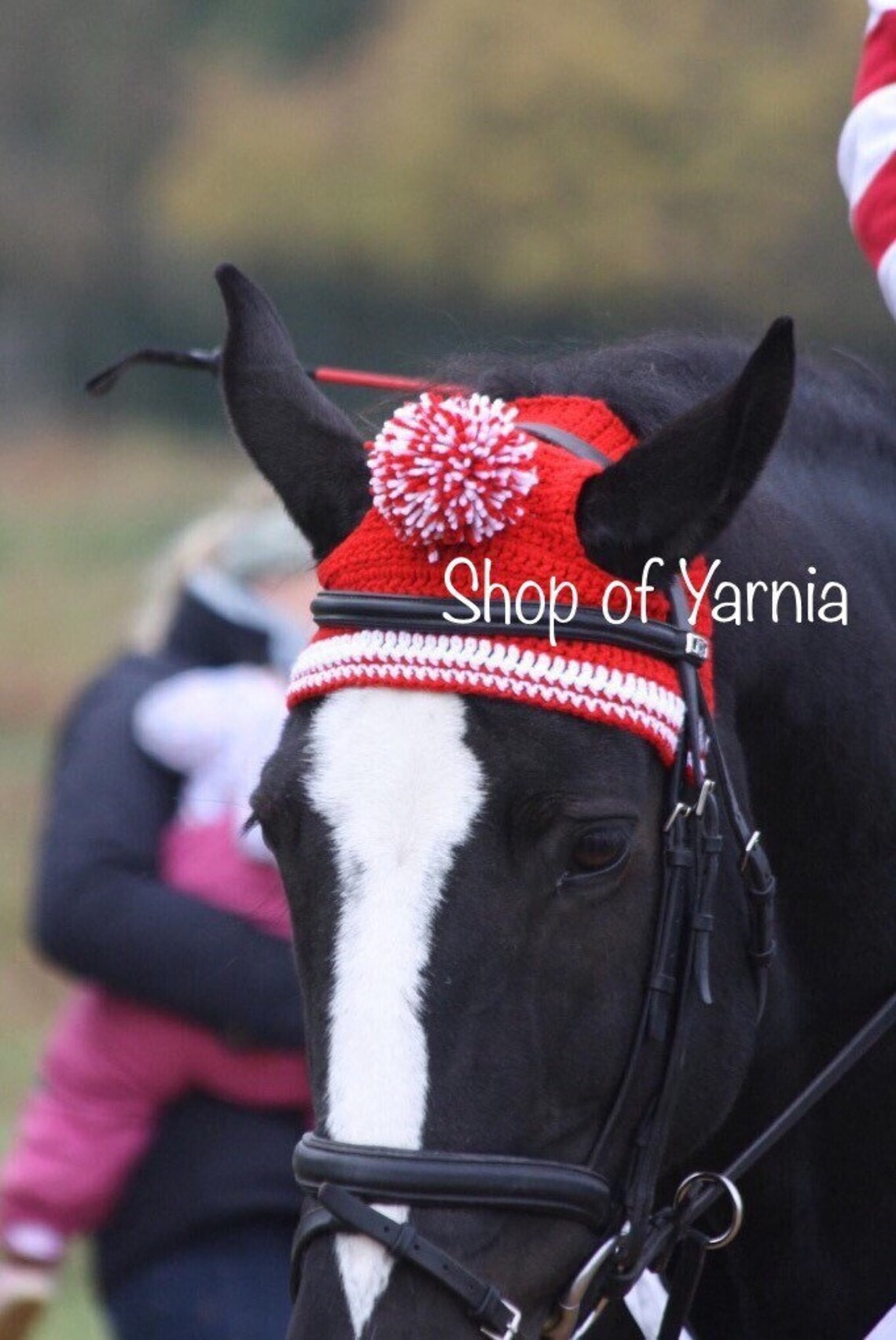 Crochet Horse Bonnet - Etsy