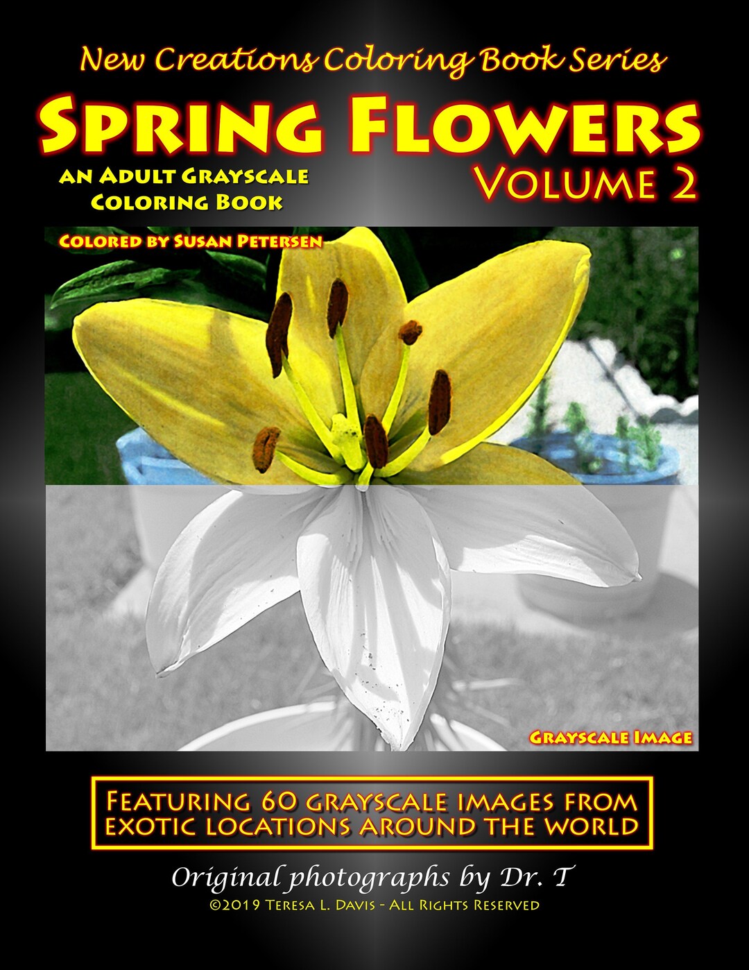 New Creations Coloring Books: SPRING FLOWERS Vol 2 - Etsy