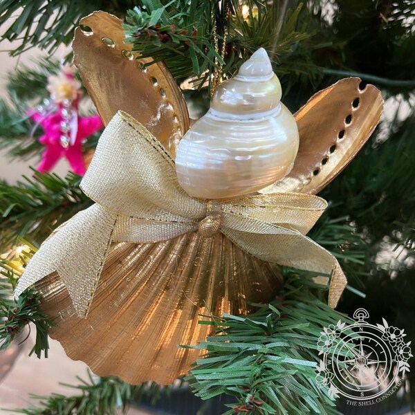 Seashell Christmas Ornaments - Etsy