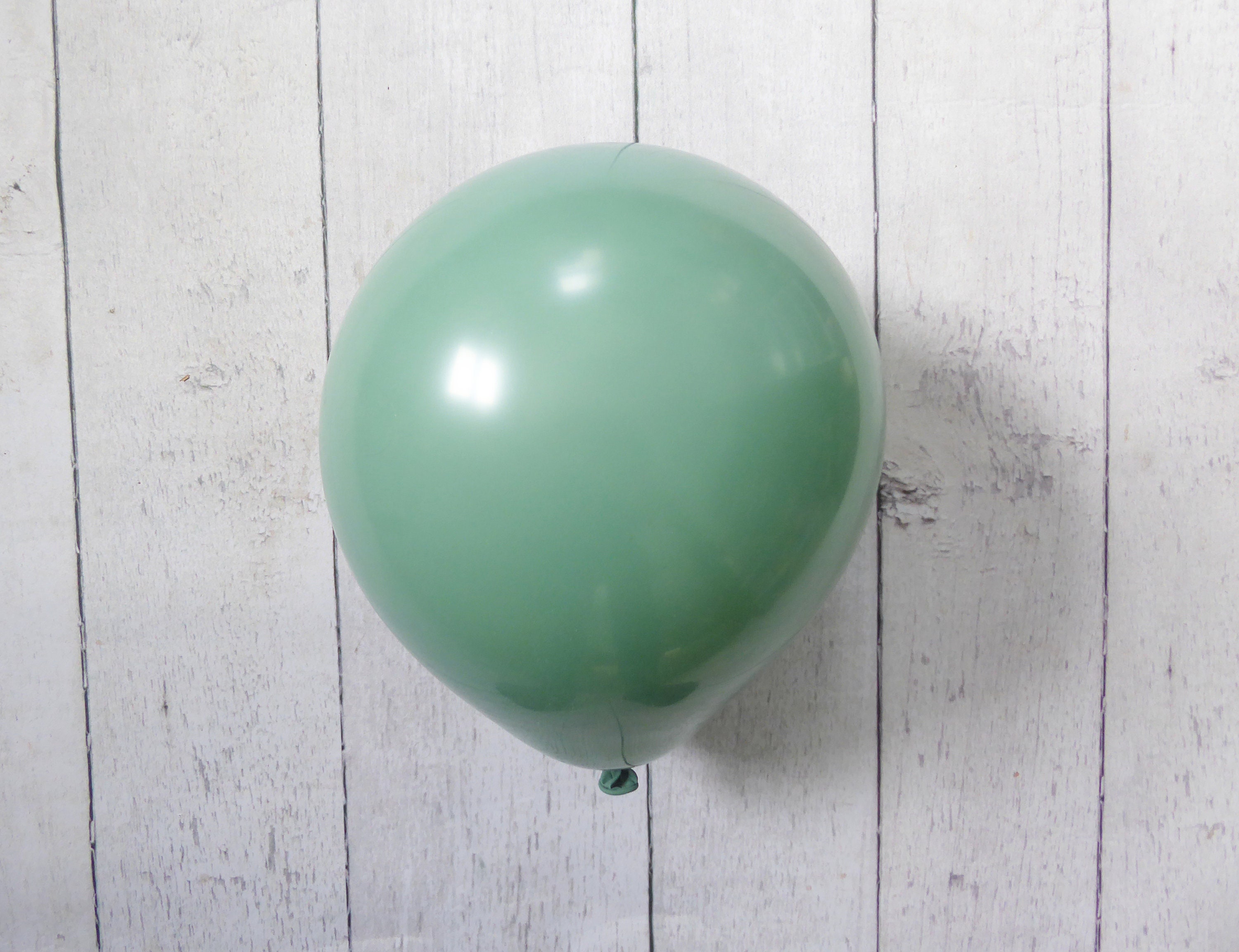 5 or 12 Kalisan Retro Sage Green Latex Balloons 10 Pack - Etsy
