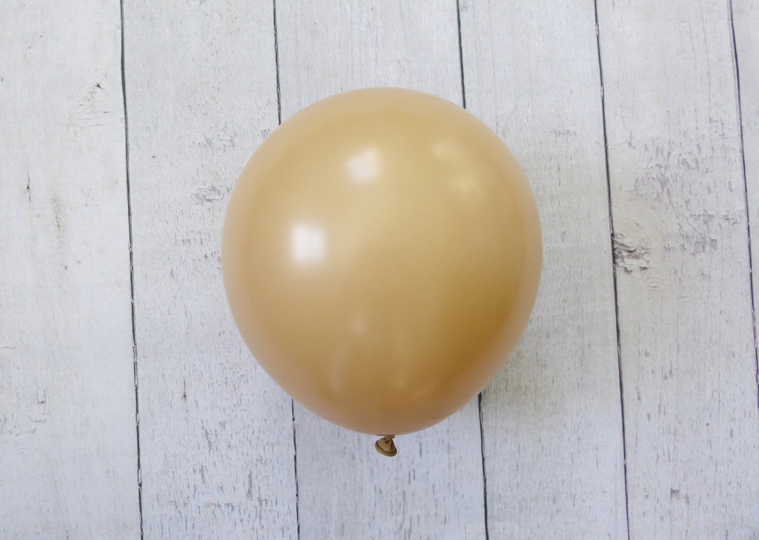 5 or 11 Sempertex Latte Latex Balloons 10 Pack - Etsy