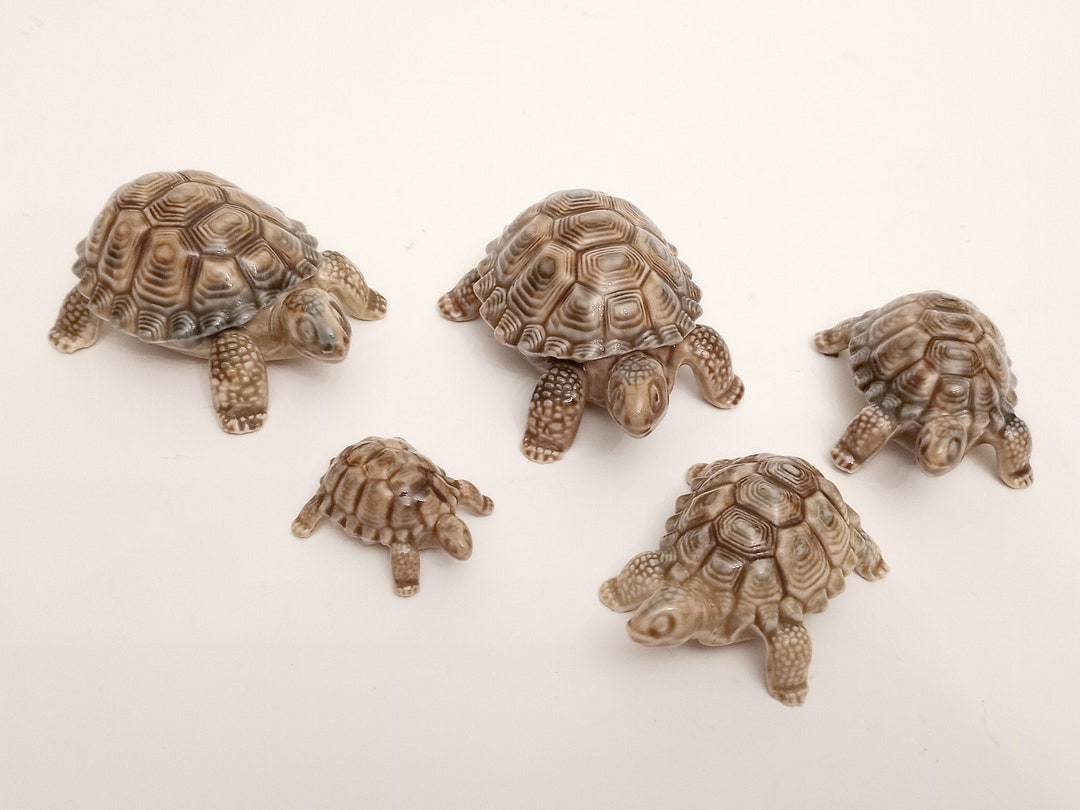Set of Five Vintage Wade Porcelain Tortoises Circa 1970 Collectable ...