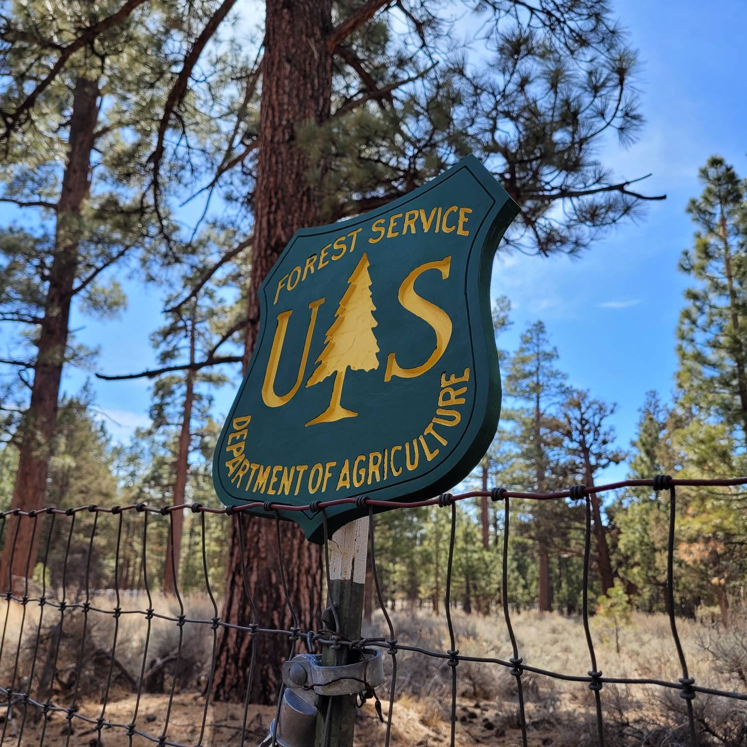 US Forest Service Wood Carved Sign - Etsy