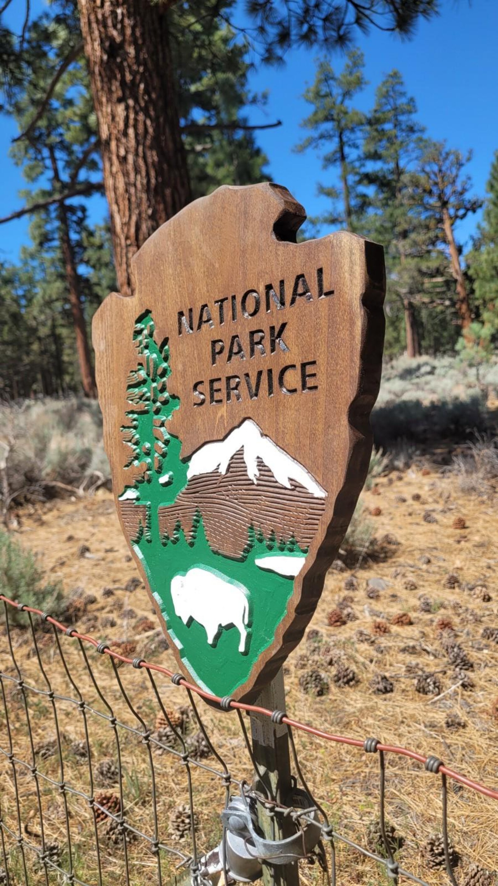 National Park Service Arrowhead 3d Wood Carved and Hand Painted - Etsy