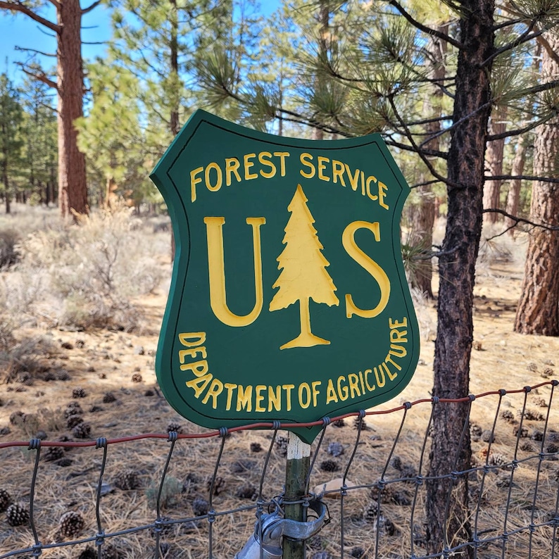 US Forest Service Wood Carved Sign - Etsy