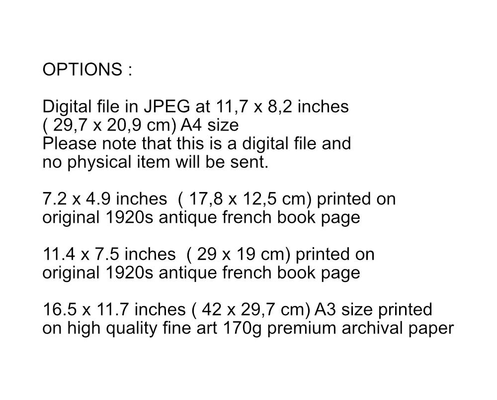Caduceus Roses Flower Caduceus Human Anatomy Art Love - Etsy
