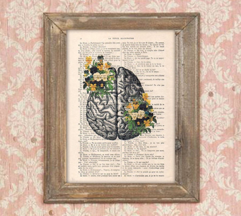 Anatomie Gehirn Blume Anatomie Druck Menschliche Anatomie - Etsy Österreich Anatomie Gehirn Blume Anatomie Druck Menschliche Anatomie - Etsy Österreich