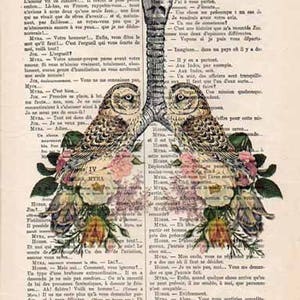 Retro Lung Owl Bird Flower Anatomy Print, Human, Anatomy Art, Love ...