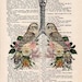 Retro Lung Owl Bird Flower Anatomy Print, Human, Anatomy Art, Love ...
