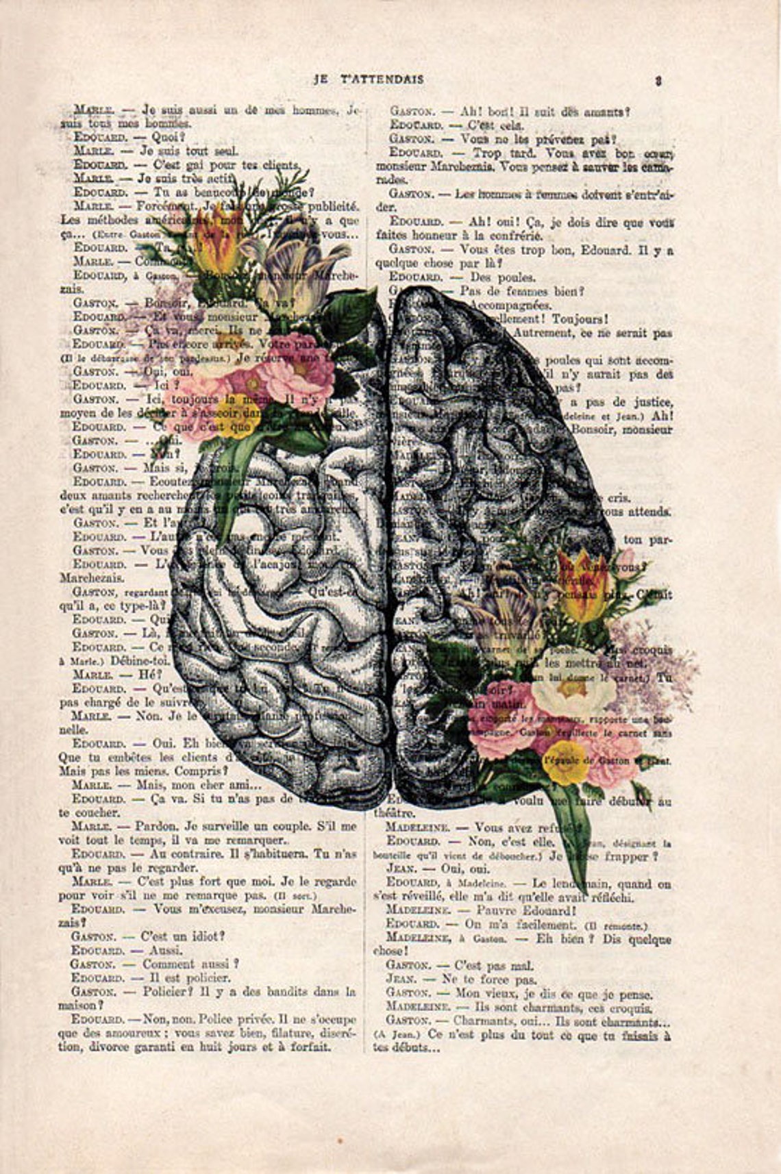Anatomie Gehirn Blume Anatomie Druck Anatomie des Menschen - Etsy Schweiz Anatomie Gehirn Blume Anatomie Druck Anatomie des Menschen - Etsy Schweiz