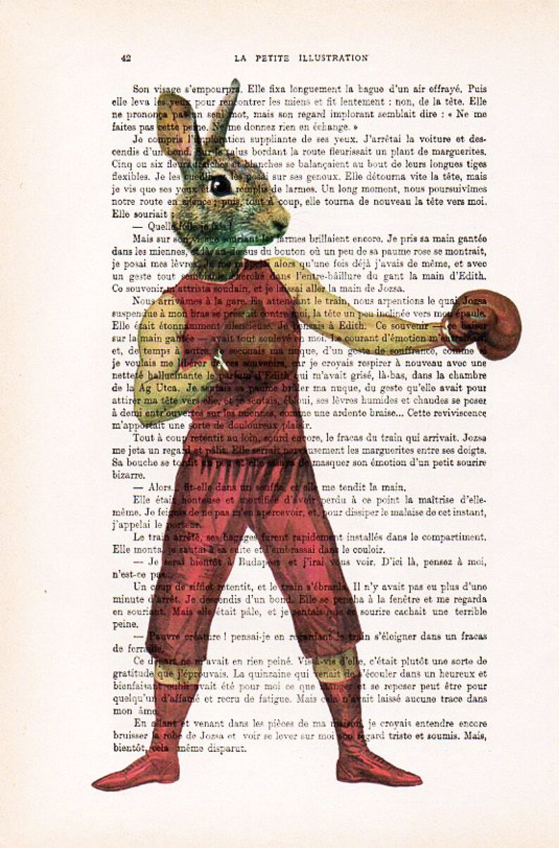 Rabbit Boxer Print Bunny Illustration Rabbit Wall Art - Etsy UK