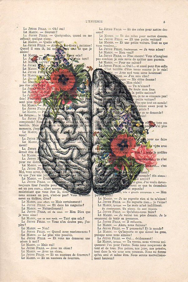 Anatomy Brain Flower Anatomy Print Poppy Human Anatomy Science - Etsy