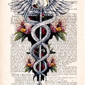 Caduceus, Flower Caduceus, Human, Anatomy Art, Love, Science Wall Decor ...