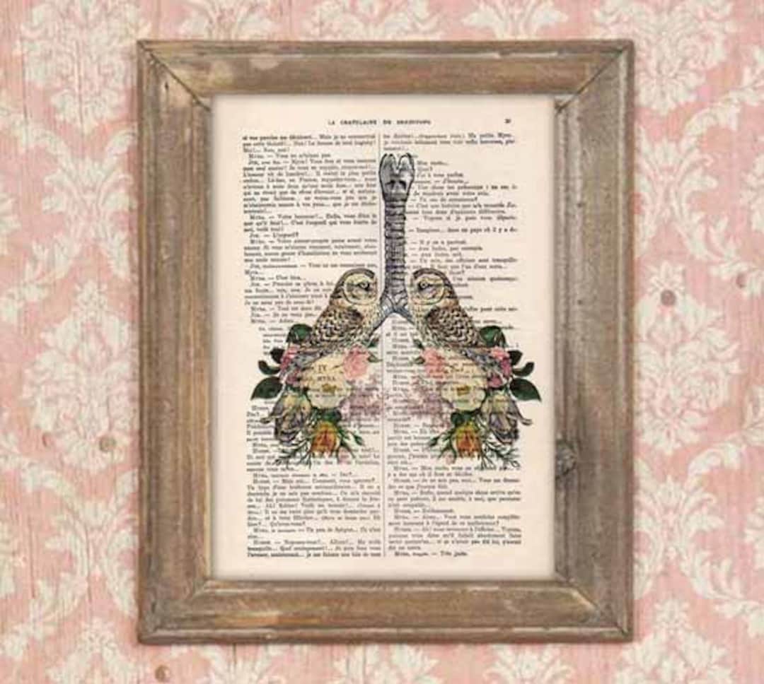 Retro Lung Owl Bird Flower Anatomy Print, Human, Anatomy Art, Love ...