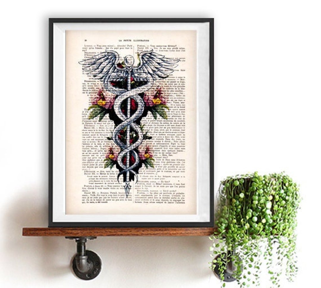 Caduceus, Flower Caduceus, Human, Anatomy Art, Love, Science Wall Decor ...