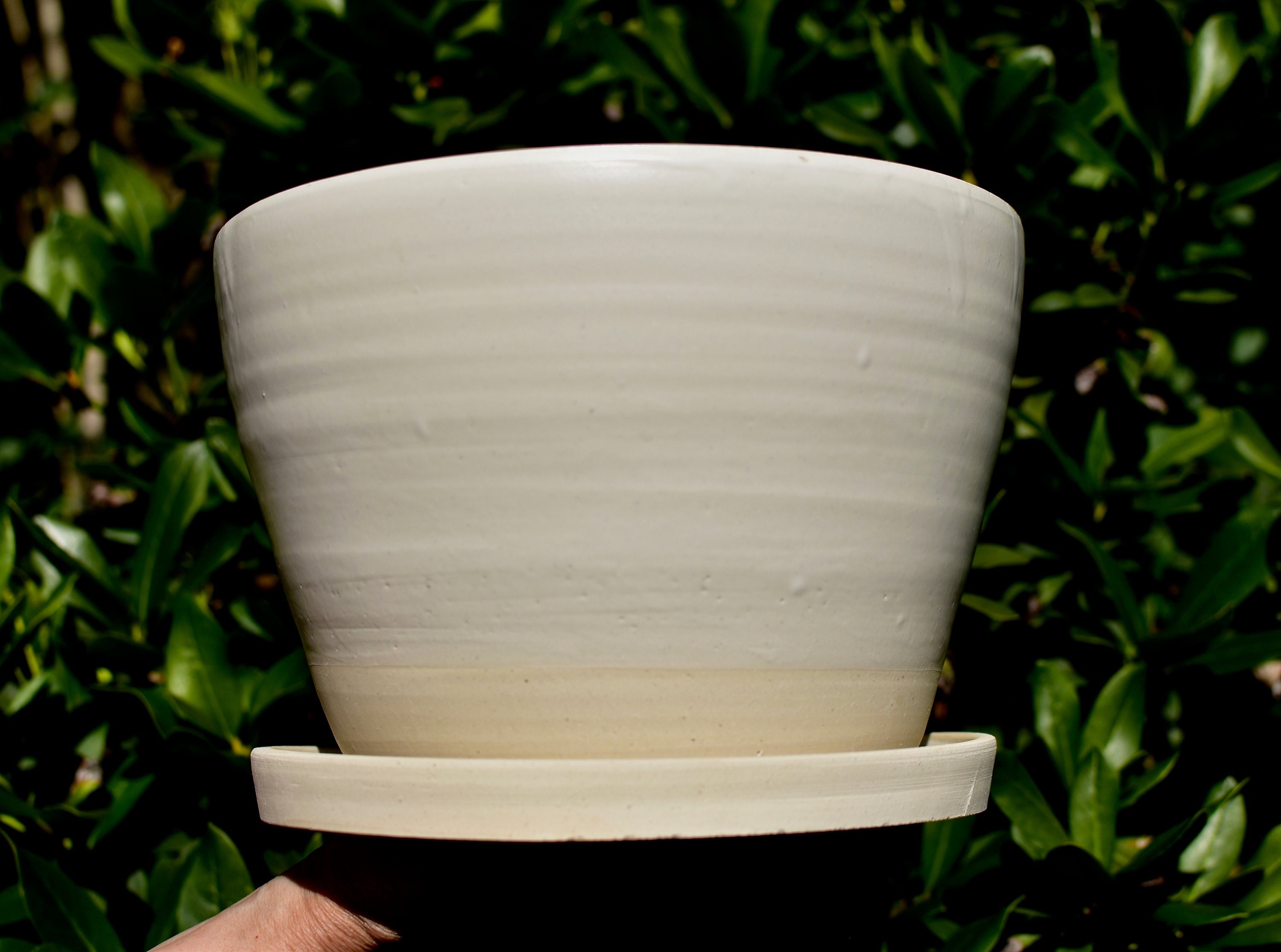 Large Ceramic Bowl Planter