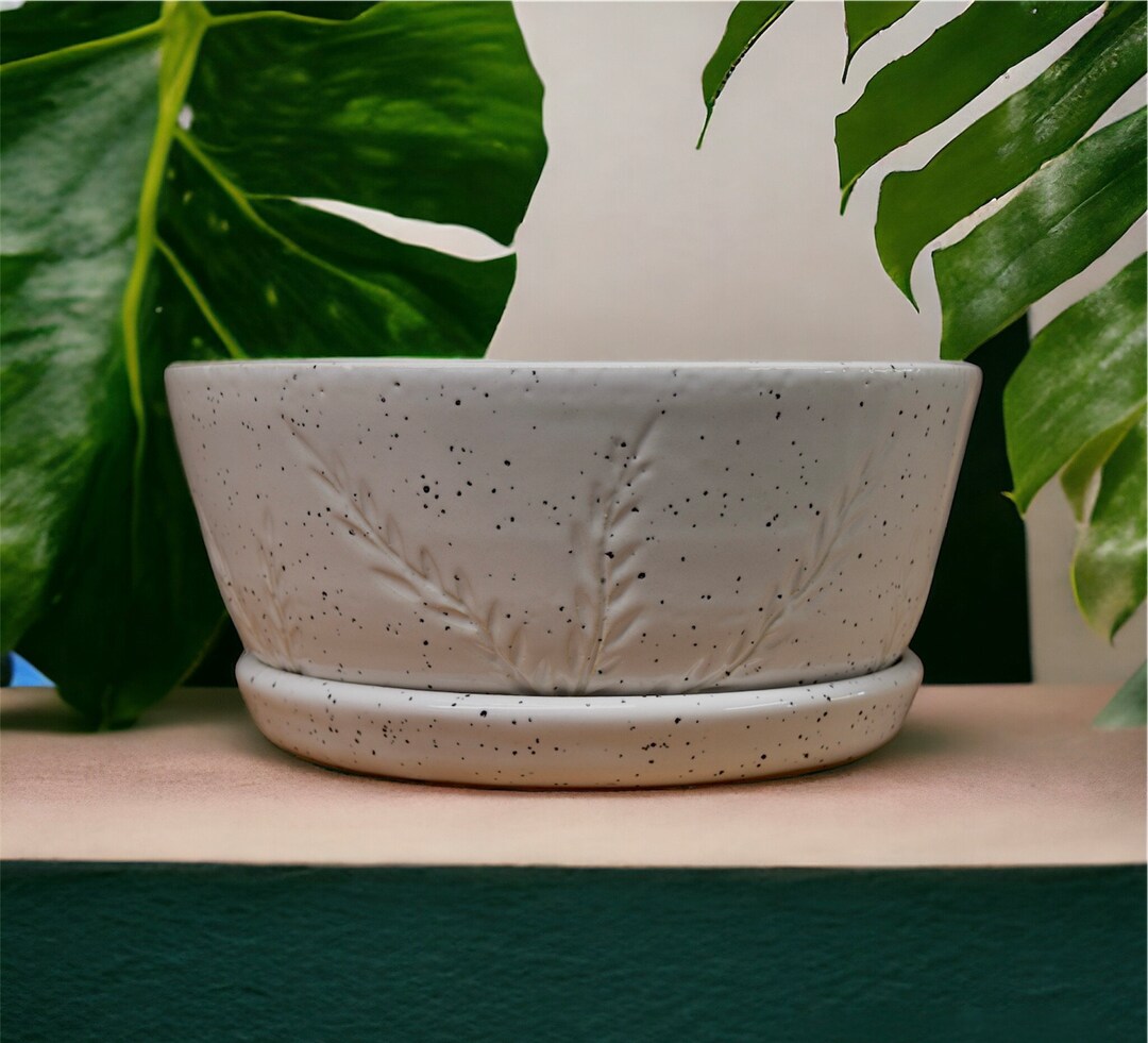 Large Ceramic Succulent Garden Planter and Tray Handmade Ceramic ...