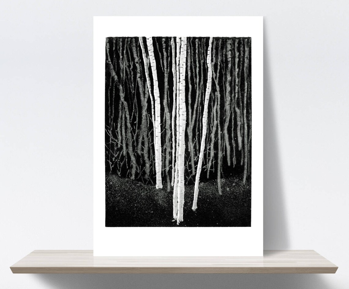 Birch Tree, Botanic Art, Forest, Trees, Darkness, Black. Etching, Aqua ...