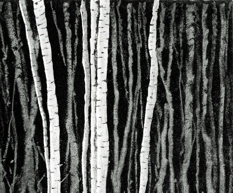 Birch Tree, Botanic Art, Forest, Trees, Darkness, Black. Etching, Aqua ...
