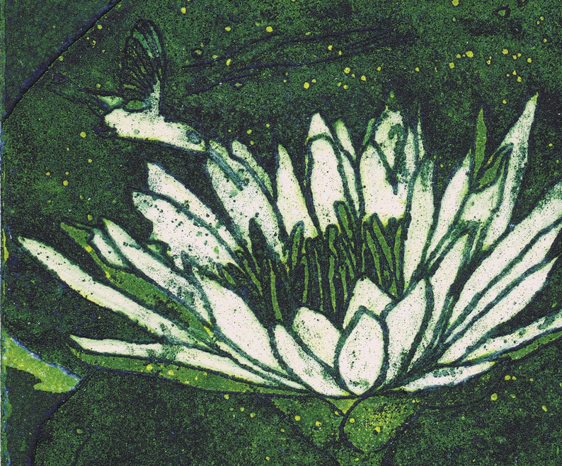 Botanic Art, Hummingbird, Waterlily, Frog, Bird, Lake. Etching, Aqua ...